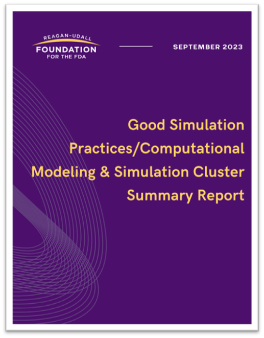 Good Simulation Practicescomputational Modeling And Simulation Cluster Summary Report Reagan